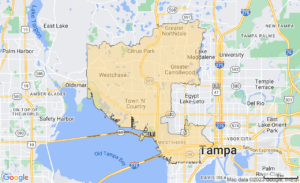 Home Care & Caregivers | FirstLight Home Care South Tampa